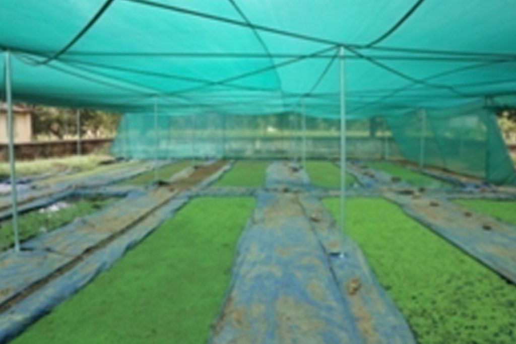 Dairy and Fodder Unit – University of Agricultural Sciences, Dharwad